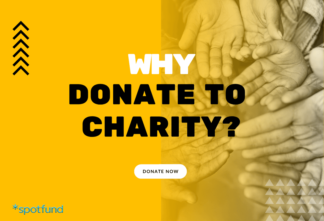 10 Best Animal Charities to Donate To in 2025