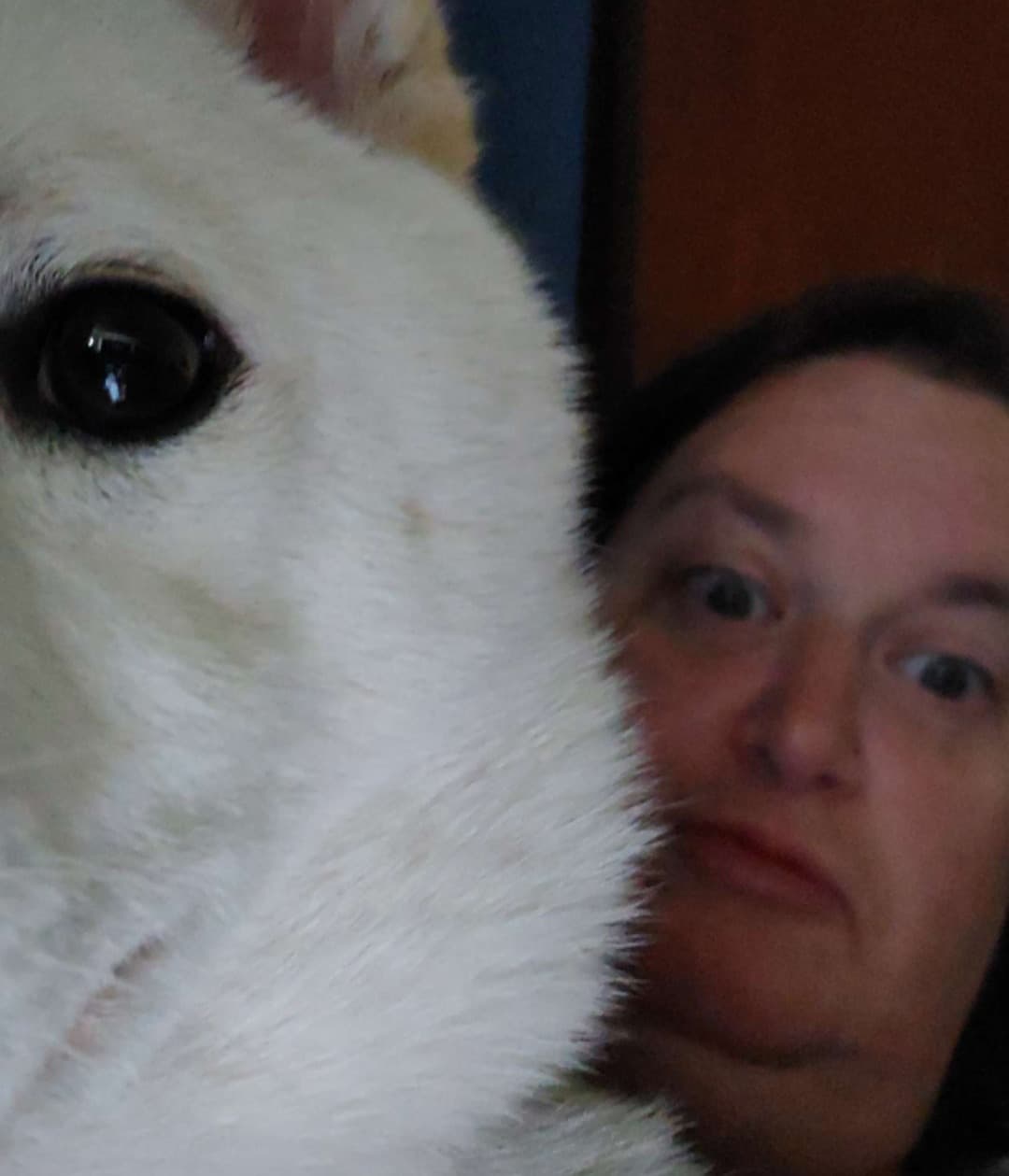 *LayMaryToRest - Fundraiser by Shontae Luna on *spotfund