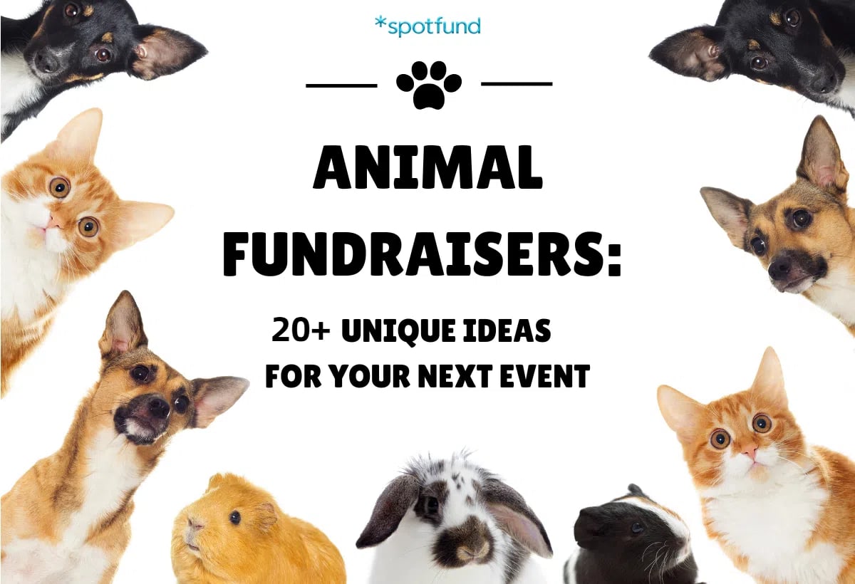 20+ Unique Ideas for Successful Animal Fundraisers | *spotfund